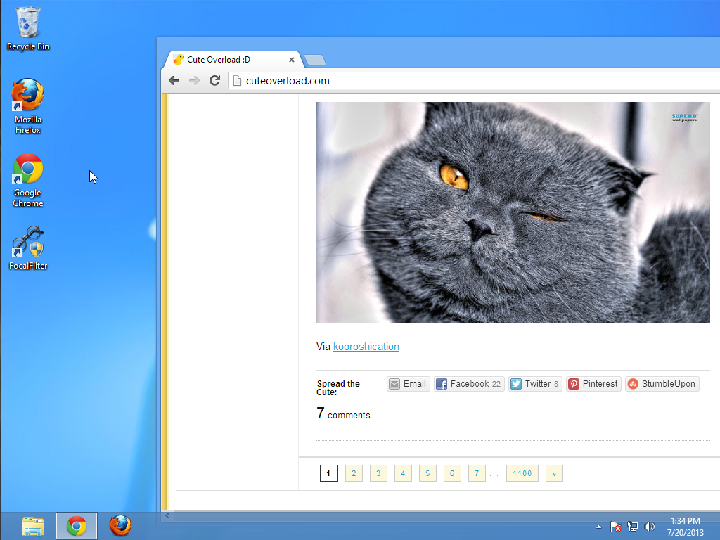 FocalFilter - Block Distracting Websites